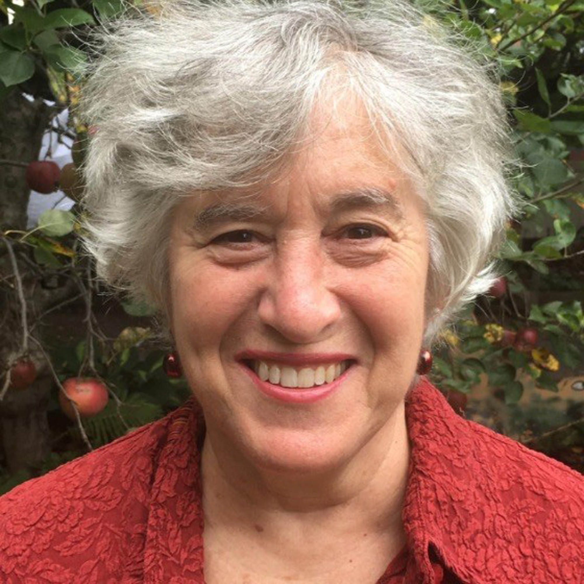 Historian, author Amy Godine speaks at ACW Dec. 1 | News, Sports, Jobs ...